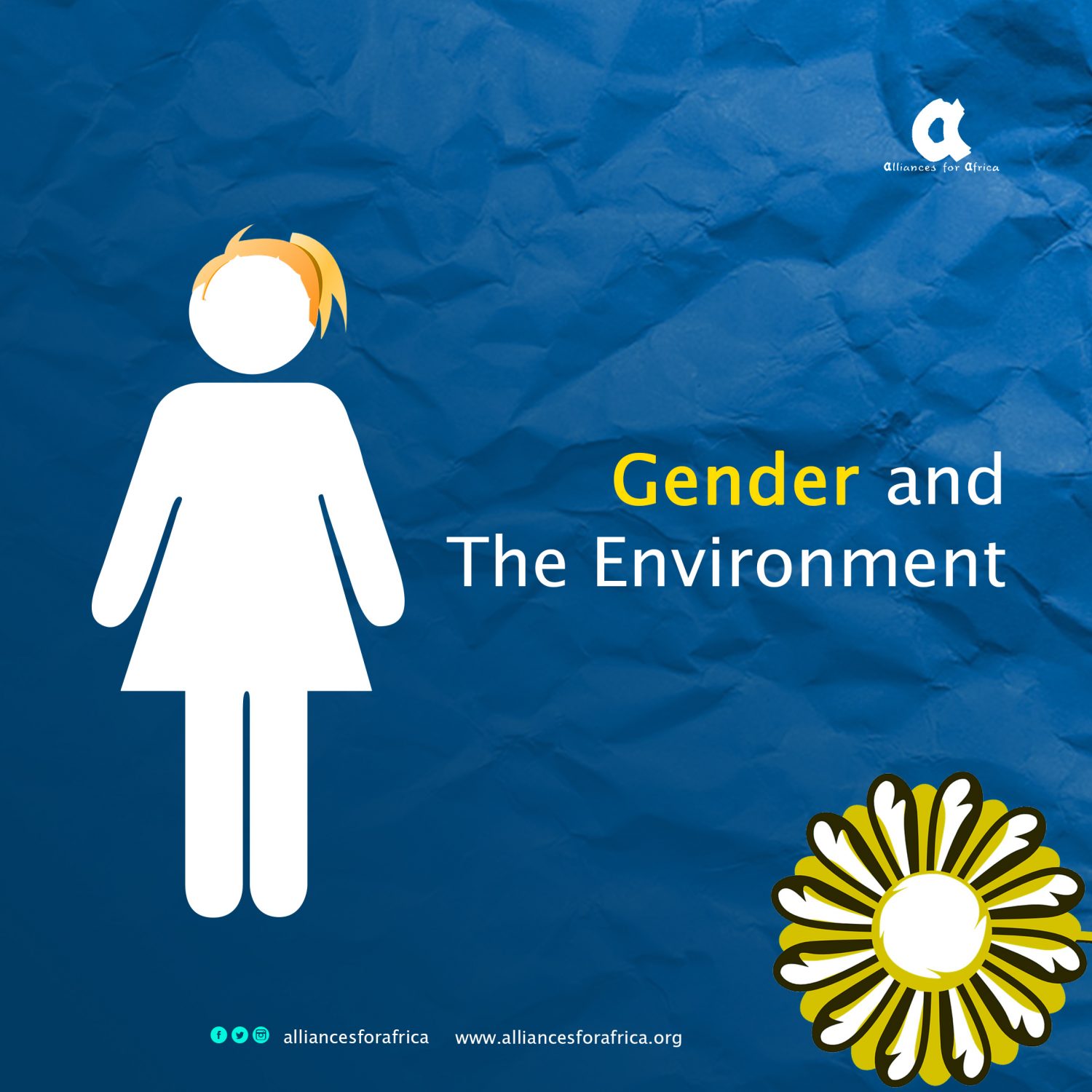 Gender Women And The Environment Alliances For Africa